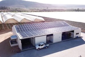 Home | Broadleaf Group