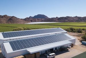 Home | Broadleaf Group