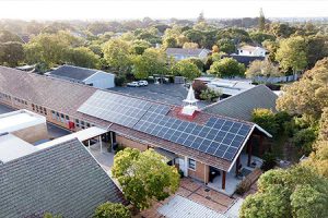 Home | Broadleaf Group