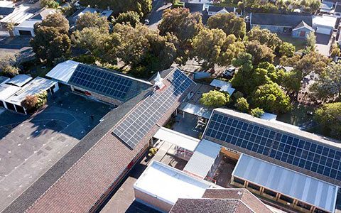 Home | Broadleaf Group