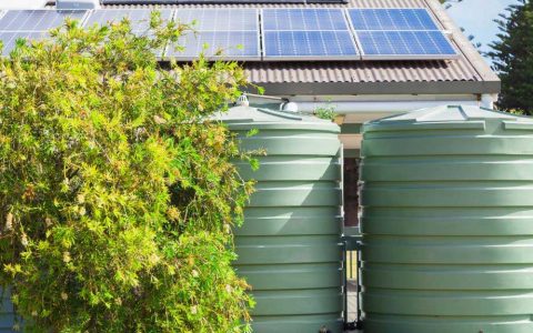 Home | Broadleaf Group